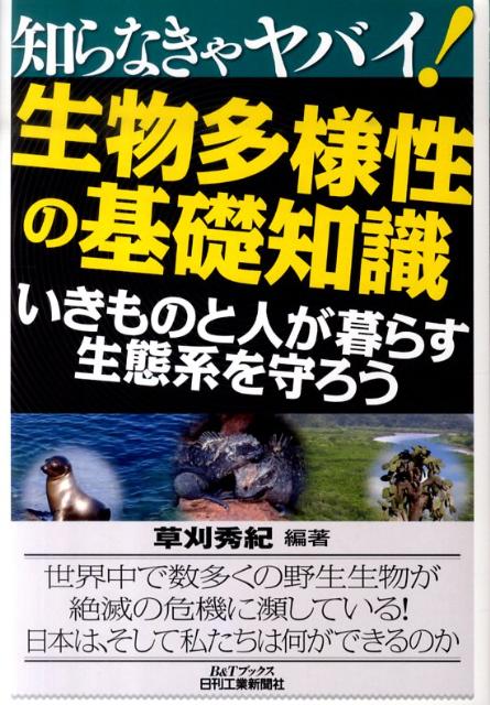 ◆◆◆非常にきれいな状態です。中古商品のため使用感等ある場合がございますが、品質には十分注意して発送いたします。 【毎日発送】 商品状態 著者名 草刈秀紀 出版社名 日刊工業新聞社 発売日 2010年08月 ISBN 9784526065040