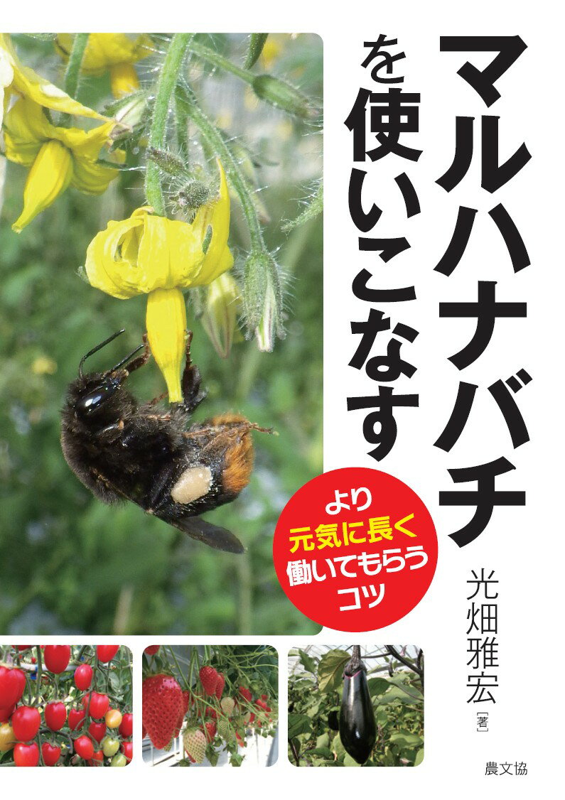 ◆◆◆非常にきれいな状態です。中古商品のため使用感等ある場合がございますが、品質には十分注意して発送いたします。 【毎日発送】 商品状態 著者名 光畑雅宏 出版社名 農山漁村文化協会 発売日 2018年05月20日 ISBN 9784540...