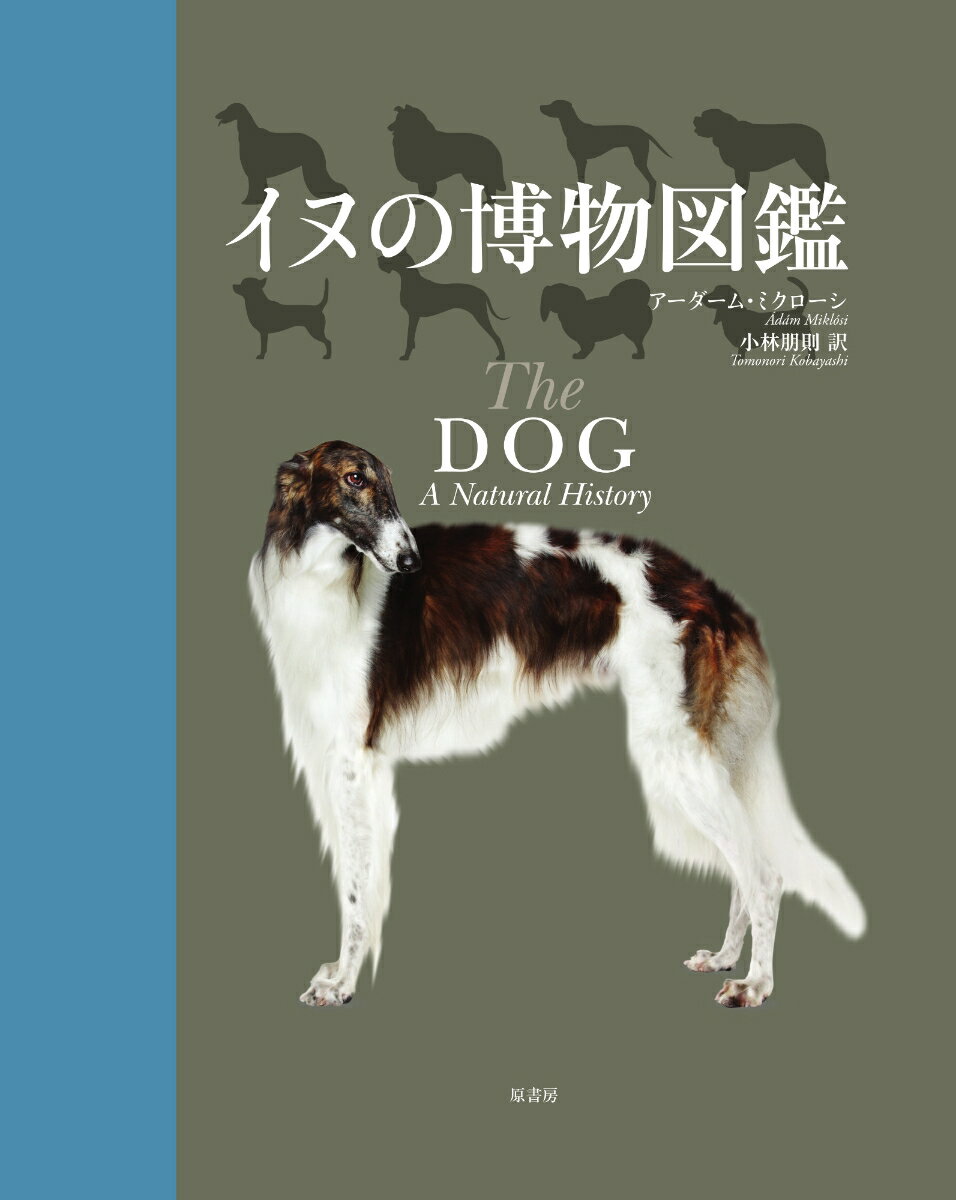 ◆◆◆非常にきれいな状態です。中古商品のため使用感等ある場合がございますが、品質には十分注意して発送いたします。 【毎日発送】 商品状態 著者名 アーダーム・ミクローシ、小林朋則 出版社名 原書房 発売日 2019年02月15日 ISBN ...