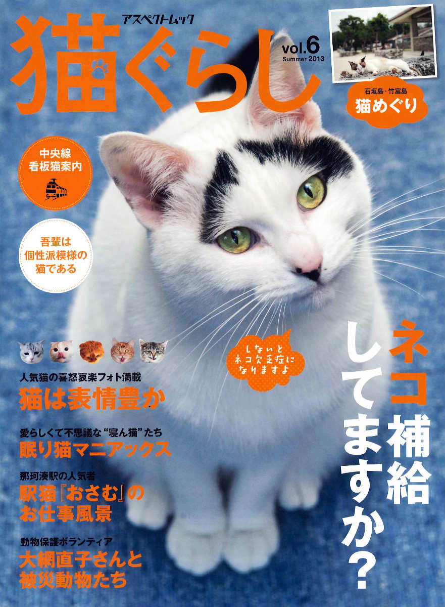 ◆◆◆おおむね良好な状態です。中古商品のため使用感等ある場合がございますが、品質には十分注意して発送いたします。 【毎日発送】 商品状態 著者名 著:なし 出版社名 アスペクト 発売日 2013年05月24日 ISBN 9784757222281