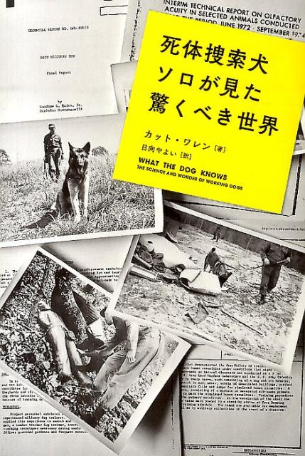 ◆◆◆おおむね良好な状態です。中古商品のため使用感等ある場合がございますが、品質には十分注意して発送いたします。 【毎日発送】 商品状態 著者名 カット・ワレン、日向やよい 出版社名 エクスナレッジ 発売日 2014年05月 ISBN 97...