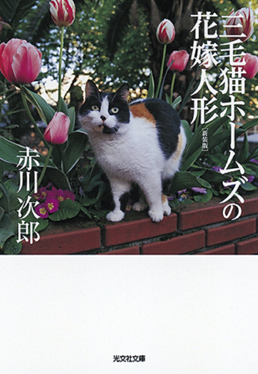 ◆◆◆非常にきれいな状態です。中古商品のため使用感等ある場合がございますが、品質には十分注意して発送いたします。 【毎日発送】 商品状態 著者名 赤川次郎 出版社名 光文社 発売日 2019年12月20日 ISBN 9784334779504