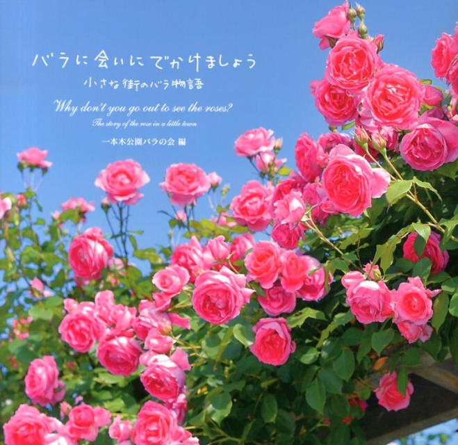 ◆◆◆おおむね良好な状態です。中古商品のため使用感等ある場合がございますが、品質には十分注意して発送いたします。 【毎日発送】 商品状態 著者名 一本木公園バラの会 出版社名 信濃毎日新聞社 発売日 2013年05月 ISBN 978478...
