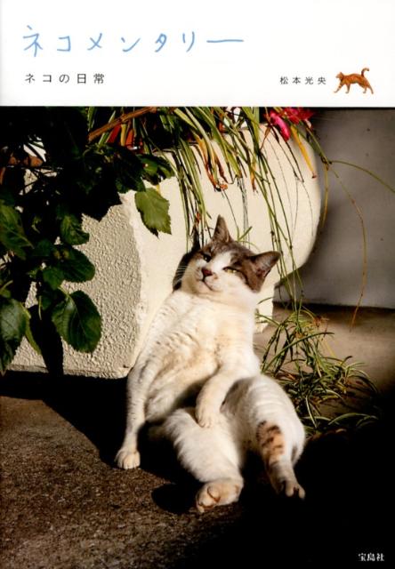 ◆◆◆おおむね良好な状態です。中古商品のため使用感等ある場合がございますが、品質には十分注意して発送いたします。 【毎日発送】 商品状態 著者名 松本光央 出版社名 宝島社 発売日 2013年02月 ISBN 9784800206886