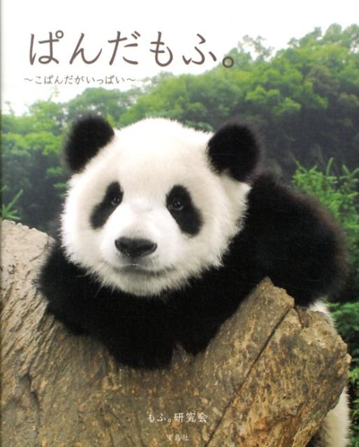 ◆◆◆カバーに日焼けがあります。中古ですので多少の使用感がありますが、品質には十分に注意して販売しております。迅速・丁寧な発送を心がけております。【毎日発送】 商品状態 著者名 もふ。研究会 出版社名 宝島社 発売日 2013年07月 IS...