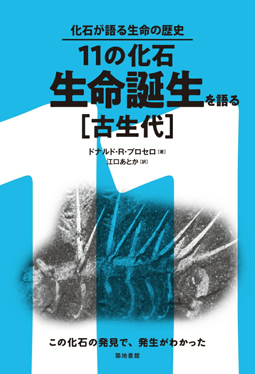 ◆◆◆全体的に汚れ、傷みがあります。歪みがあります。カバーに破れがあります。中古ですので多少の使用感がありますが、品質には十分に注意して販売しております。迅速・丁寧な発送を心がけております。【毎日発送】 商品状態 著者名 ドナルド・R・プロ...