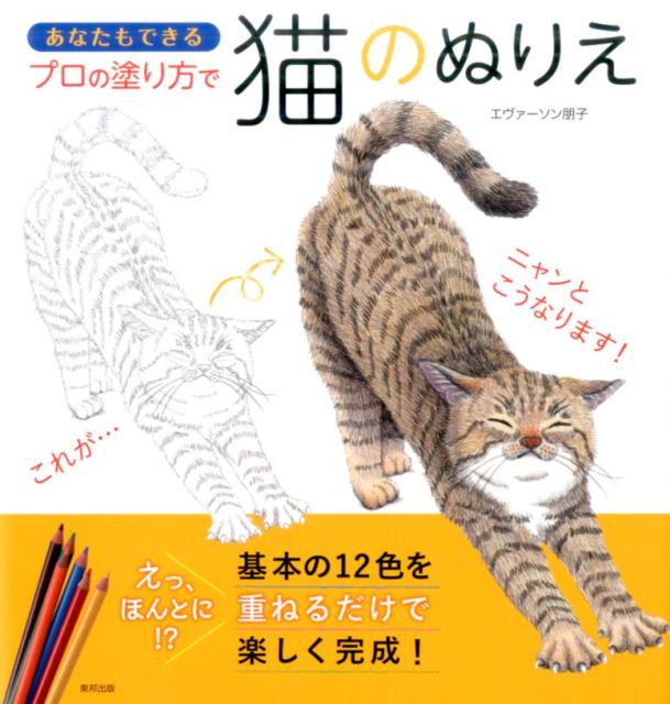 ◆◆◆おおむね良好な状態です。中古商品のため使用感等ある場合がございますが、品質には十分注意して発送いたします。 【毎日発送】 商品状態 著者名 エヴァーソン朋子 出版社名 順文社 発売日 2017年05月09日 ISBN 97848094...