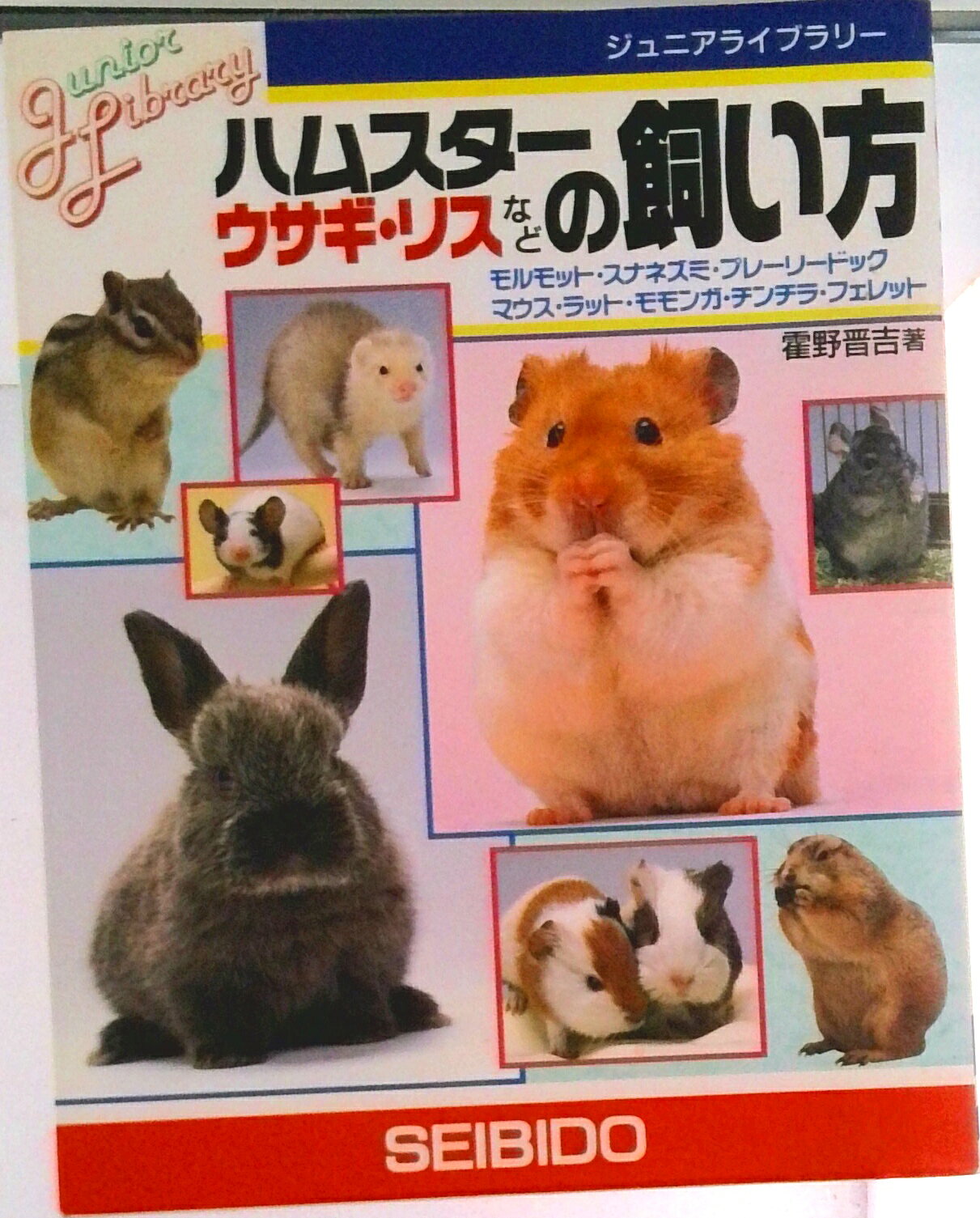 ◆◆◆カバーに日焼けがあります。中古ですので多少の使用感がありますが、品質には十分に注意して販売しております。迅速・丁寧な発送を心がけております。【毎日発送】 商品状態 著者名 霍野晋吉 出版社名 成美堂出版 発売日 1995年08月20日...