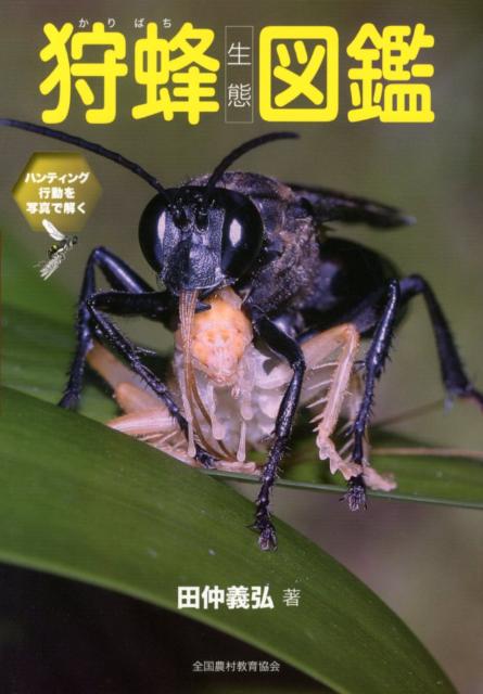 ◆◆◆非常にきれいな状態です。中古商品のため使用感等ある場合がございますが、品質には十分注意して発送いたします。 【毎日発送】 商品状態 著者名 田仲義弘 出版社名 全国農村教育協会 発売日 2012年09月 ISBN 9784881371671