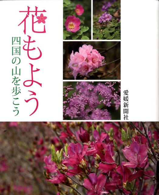 ◆◆◆おおむね良好な状態です。中古商品のため使用感等ある場合がございますが、品質には十分注意して発送いたします。 【毎日発送】 商品状態 著者名 谷山,省一郎,1935- 出版社名 愛媛新聞社 発売日 2009年03月24日 ISBN 97...