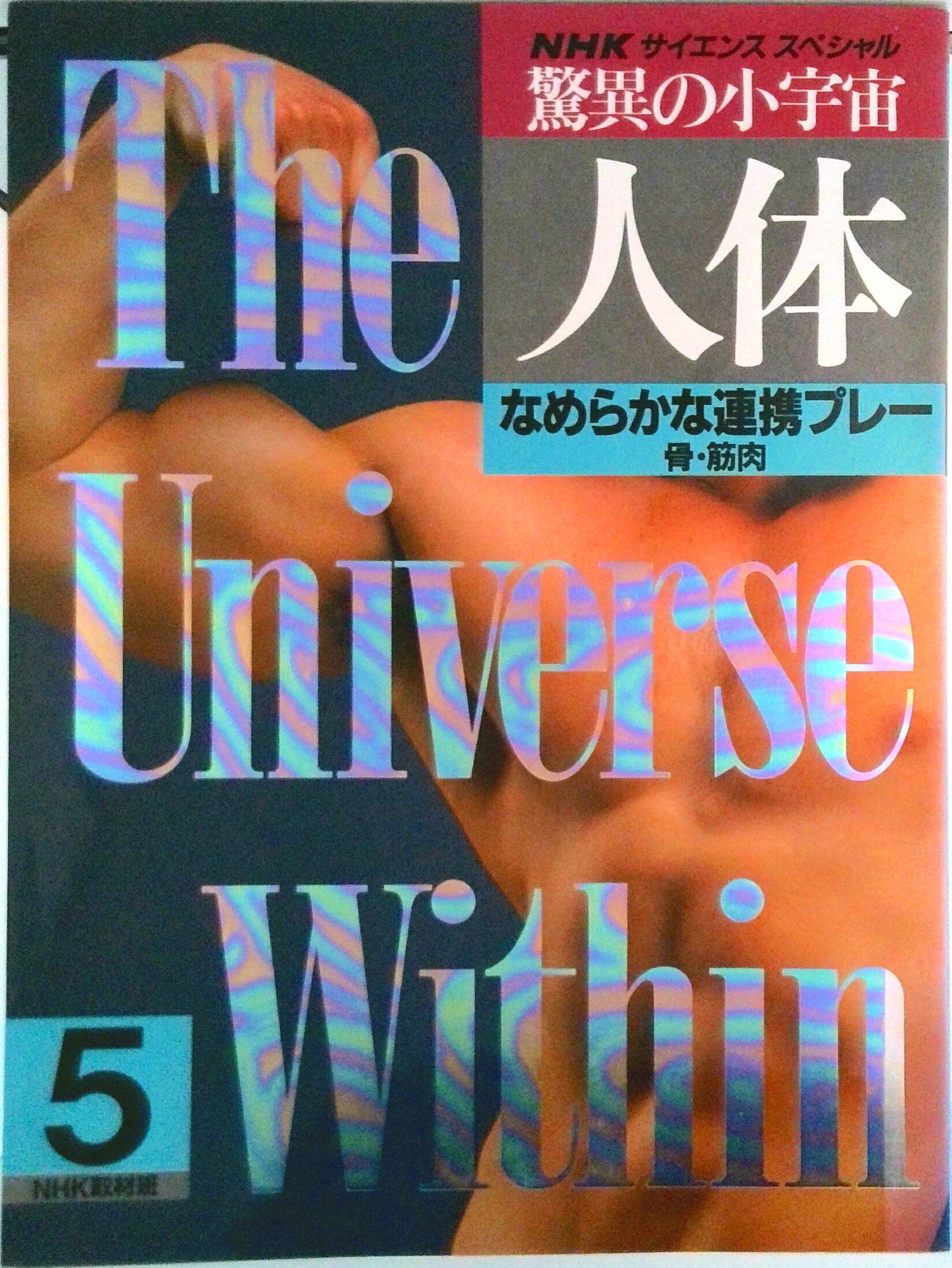 ◆◆◆非常にきれいな状態です。中古商品のため使用感等ある場合がございますが、品質には十分注意して発送いたします。 【毎日発送】 商品状態 著者名 日本放送協会 出版社名 NHK出版 発売日 1989年09月01日 ISBN 97841400...