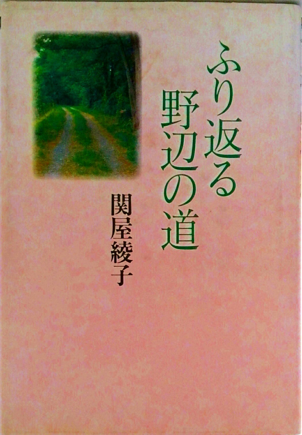 ◆◆◆全体的に汚れ、傷みがあります。中古ですので多少の使用感がありますが、品質には十分に注意して販売しております。迅速・丁寧な発送を心がけております。【毎日発送】 商品状態 著者名 関屋綾子 出版社名 日本基督教団出版局 発売日 2000年...