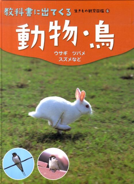 ◆◆◆おおむね良好な状態です。中古商品のため使用感等ある場合がございますが、品質には十分注意して発送いたします。 【毎日発送】 商品状態 著者名 写真:亀田 龍吉,写真:立松 光好 出版社名 学研教育出版 発売日 2011年01月01日 I...