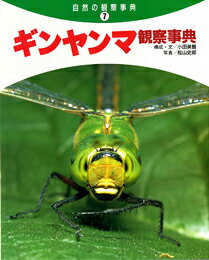 ◆◆◆おおむね良好な状態です。中古商品のため使用感等ある場合がございますが、品質には十分注意して発送いたします。 【毎日発送】 商品状態 著者名 小田英智、松山史郎 出版社名 偕成社 発売日 1996年09月 ISBN 9784035272700