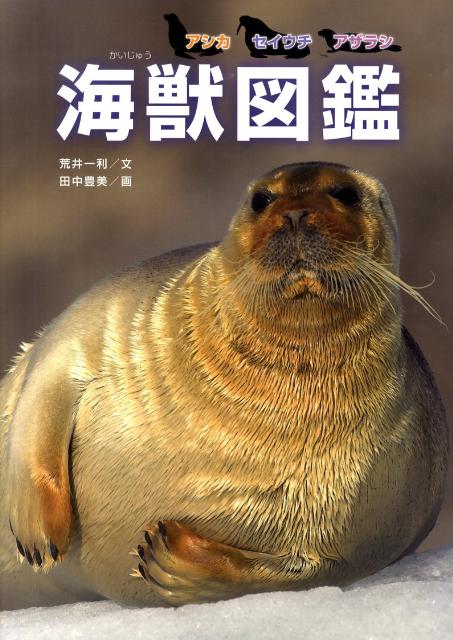 ◆◆◆リサイクル図書になります。除籍印、管理シール等があります。全体的に汚れ、使用感があります。中古ですので多少の使用感がありますが、品質には十分に注意して販売しております。迅速・丁寧な発送を心がけております。【毎日発送】 商品状態 著者名...