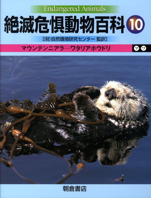 ◆◆◆全体的に汚れがあります。中古ですので多少の使用感がありますが、品質には十分に注意して販売しております。迅速・丁寧な発送を心がけております。【毎日発送】 商品状態 著者名 Beer,Amy-Jane、Campbell,AndrewC、D...