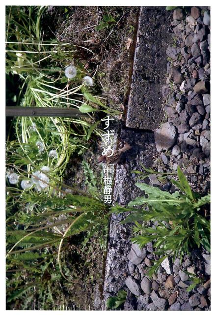 ◆◆◆おおむね良好な状態です。中古商品のため使用感等ある場合がございますが、品質には十分注意して発送いたします。 【毎日発送】 商品状態 著者名 著:中根静男,編集:椿昌道 発売日 2019年11月 ISBN 9784990792350