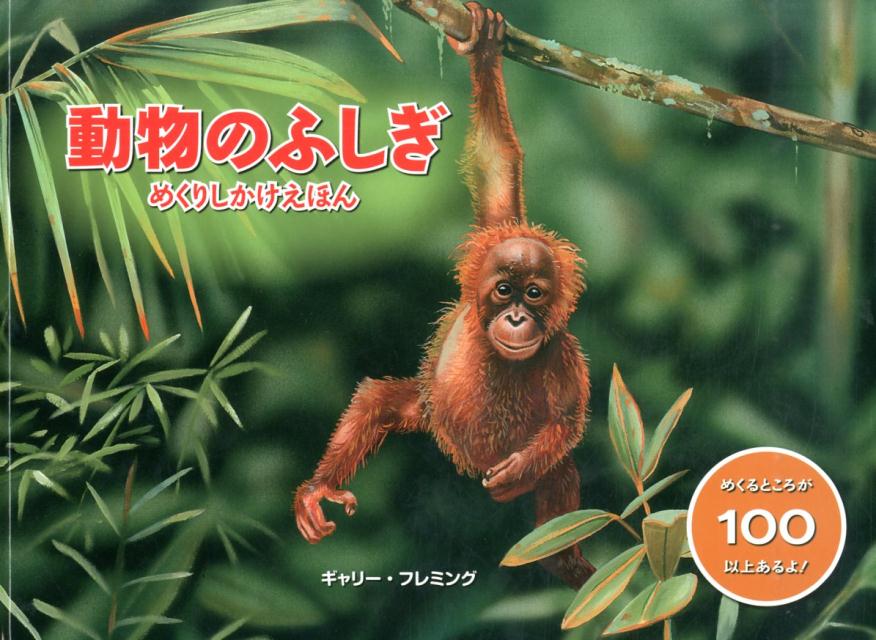◆◆◆書き込みがあります。全体的に傷み、使用感、日焼けがあります。中古ですので多少の使用感がありますが、品質には十分に注意して販売しております。迅速・丁寧な発送を心がけております。【毎日発送】 商品状態 著者名 Horin,Niki、Fle...
