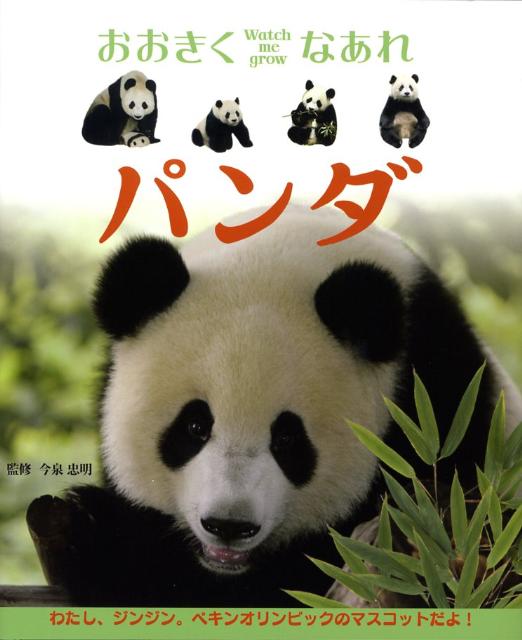 ◆◆◆見返しに汚れがあります。中古ですので多少の使用感がありますが、品質には十分に注意して販売しております。迅速・丁寧な発送を心がけております。【毎日発送】 商品状態 著者名 出版社名 フレーベル館 発売日 2008年03月 ISBN 97...