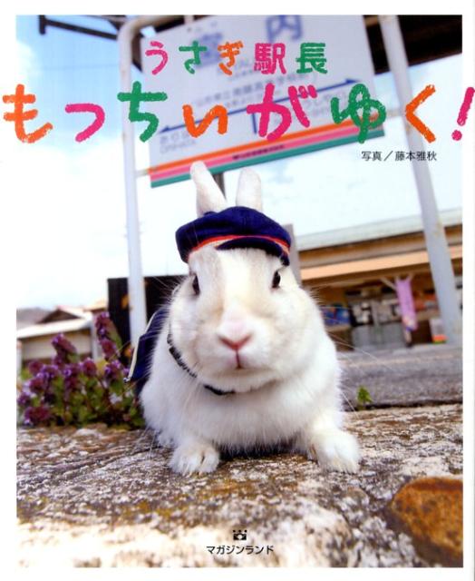 ◆◆◆おおむね良好な状態です。中古商品のため使用感等ある場合がございますが、品質には十分注意して発送いたします。 【毎日発送】 商品状態 著者名 藤本,雅秋,1956-、マガジンランド 出版社名 マガジンランド 発売日 2011年06月 I...