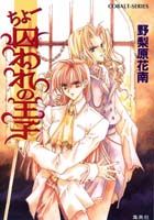 ◆◆◆非常にきれいな状態です。中古商品のため使用感等ある場合がございますが、品質には十分注意して発送いたします。 【毎日発送】 商品状態 著者名 野梨原,花南 出版社名 集英社 発売日 1997年12月 ISBN 9784086144063