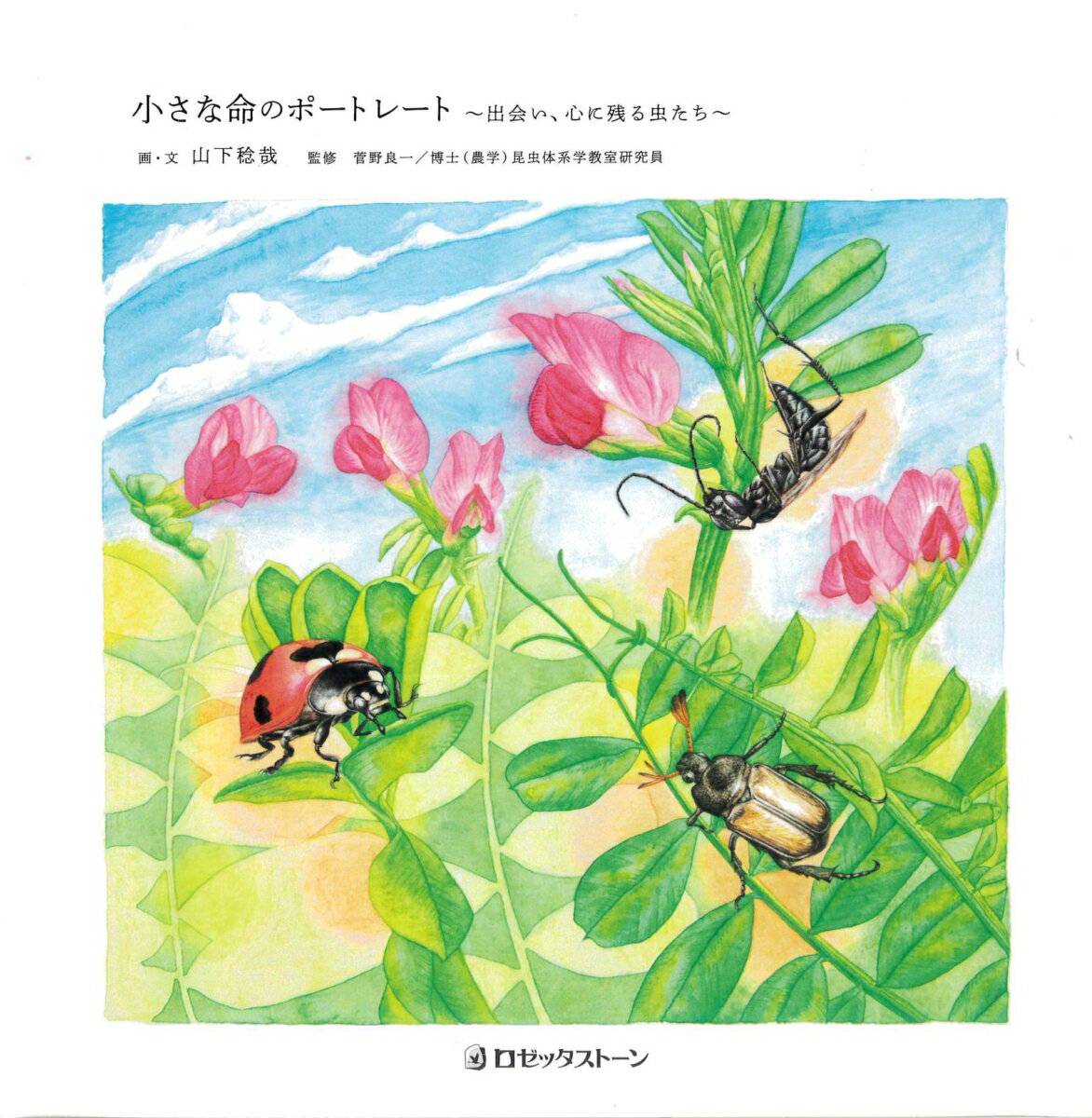 ◆◆◆おおむね良好な状態です。中古商品のため使用感等ある場合がございますが、品質には十分注意して発送いたします。 【毎日発送】 商品状態 著者名 山下稔哉 出版社名 ロゼッタストーン 発売日 2023年05月 ISBN 9784947767295