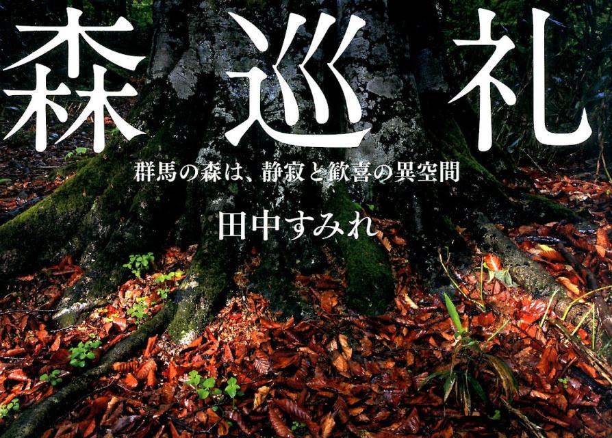◆◆◆印押し、書き込みがあります。中古ですので多少の使用感がありますが、品質には十分に注意して販売しております。迅速・丁寧な発送を心がけております。【毎日発送】 商品状態 著者名 田中,すみれ 出版社名 日本写真企画 発売日 2015年07...