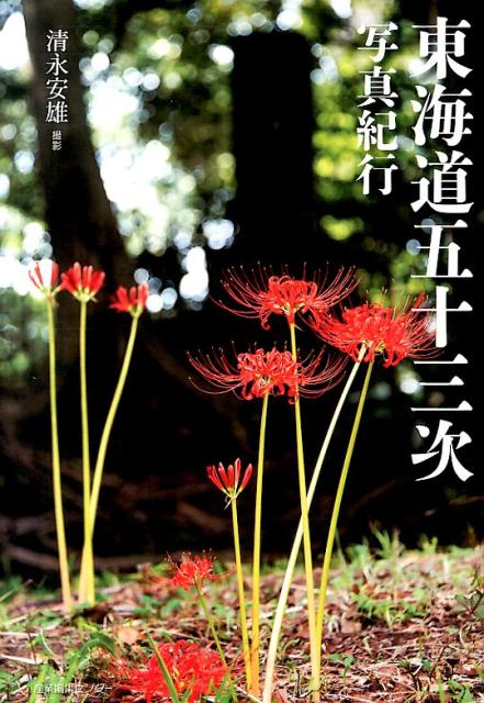 ◆◆◆表紙、カバーに傷みがあります。中古ですので多少の使用感がありますが、品質には十分に注意して販売しております。迅速・丁寧な発送を心がけております。【毎日発送】 商品状態 著者名 清永,安雄,1948- 出版社名 産業編集センター 発売日...