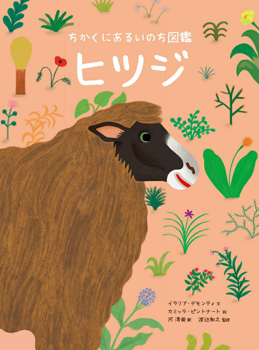 ◆◆◆非常にきれいな状態です。中古商品のため使用感等ある場合がございますが、品質には十分注意して発送いたします。 【毎日発送】 商品状態 著者名 イラリア・デモンティ、カミッラ・ピントナート、河　清美 ほか 出版社名 化学同人 発売日 20...