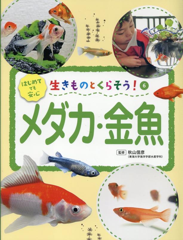 ◆◆◆おおむね良好な状態です。中古商品のため使用感等ある場合がございますが、品質には十分注意して発送いたします。 【毎日発送】 商品状態 著者名 秋山,信彦,1961- 出版社名 国土社 発売日 2025年01月 ISBN 97843372...