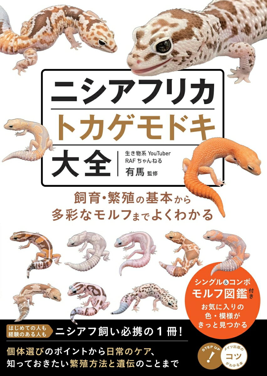 ◆◆◆非常にきれいな状態です。中古商品のため使用感等ある場合がございますが、品質には十分注意して発送いたします。 【毎日発送】 商品状態 著者名 RAFちゃんねる有馬 出版社名 メイツユニバーサルコンテンツ 発売日 2024年10月 ISB...