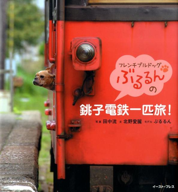 ◆◆◆おおむね良好な状態です。中古商品のため使用感等ある場合がございますが、品質には十分注意して発送いたします。 【毎日発送】 商品状態 著者名 田中,流、北野,愛麗 出版社名 イースト・プレス 発売日 2009年03月 ISBN 9784...