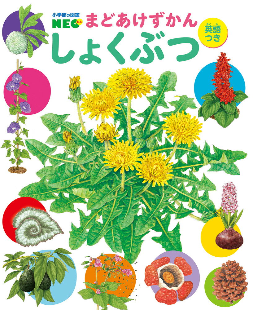 ◆◆◆カバーがありません。中古ですので多少の使用感がありますが、品質には十分に注意して販売しております。迅速・丁寧な発送を心がけております。【毎日発送】 商品状態 著者名 Miltata,1986-、塚谷,裕一,1964- 出版社名 小学館...