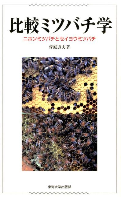 ◆◆◆おおむね良好な状態です。中古商品のため使用感等ある場合がございますが、品質には十分注意して発送いたします。 【毎日発送】 商品状態 著者名 菅原,道夫 出版社名 東海大学出版部 発売日 2015年04月 ISBN 9784486020431