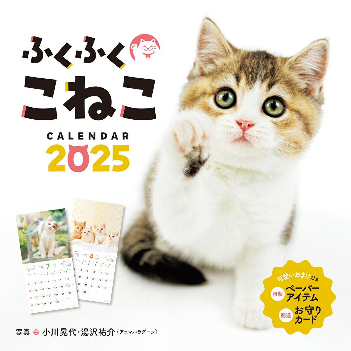 ◆◆◆おおむね良好な状態です。中古商品のため使用感等ある場合がございますが、品質には十分注意して発送いたします。 【毎日発送】 商品状態 著者名 小川晃代（アニマルラグーン）、湯沢祐介（アニマルラグーン） 出版社名 インプレス 発売日 20...