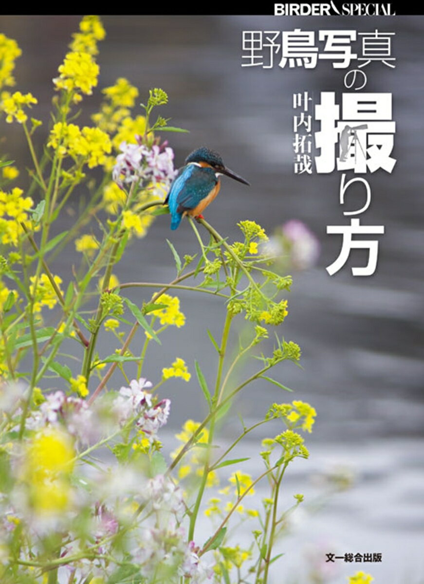 ◆◆◆おおむね良好な状態です。中古商品のため使用感等ある場合がございますが、品質には十分注意して発送いたします。 【毎日発送】 商品状態 著者名 叶内拓哉 出版社名 文一総合出版 発売日 2009年11月 ISBN 9784829910740