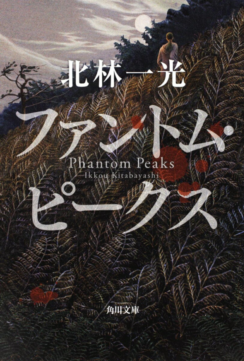 ◆◆◆おおむね良好な状態です。中古商品のため使用感等ある場合がございますが、品質には十分注意して発送いたします。 【毎日発送】 商品状態 著者名 北林,一光,1961-2006 出版社名 角川グループパブリッシング 発売日 2010年12月...