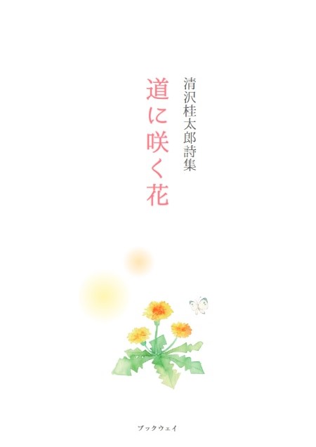 ◆◆◆おおむね良好な状態です。中古商品のため使用感等ある場合がございますが、品質には十分注意して発送いたします。 【毎日発送】 商品状態 著者名 清沢,桂太郎,1941- 出版社名 ブックウェイ 発売日 2019年05月 ISBN 9784...
