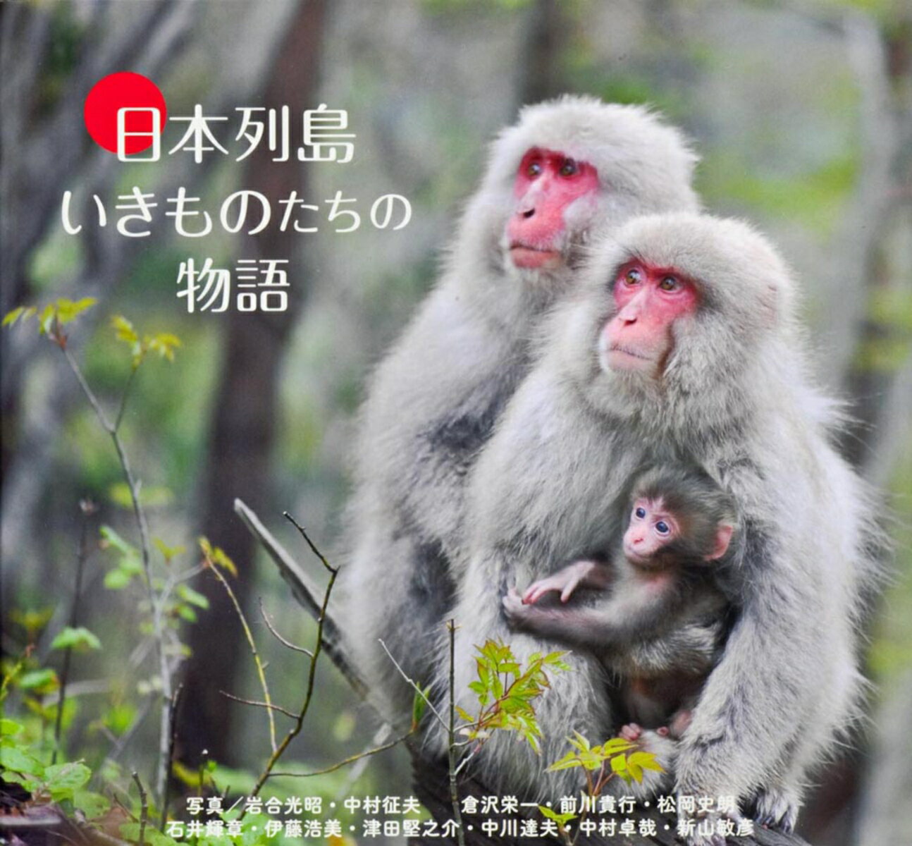 ◆◆◆おおむね良好な状態です。中古商品のため使用感等ある場合がございますが、品質には十分注意して発送いたします。 【毎日発送】 商品状態 著者名 岩合,光昭,1950- 出版社名 角川グループパブリッシング 発売日 2012年01月 ISB...