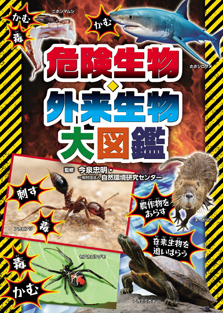 ◆◆◆おおむね良好な状態です。中古商品のため使用感等ある場合がございますが、品質には十分注意して発送いたします。 【毎日発送】 商品状態 著者名 今泉,忠明,1944-、自然環境研究センター 出版社名 あかね書房 発売日 2018年01月 ...