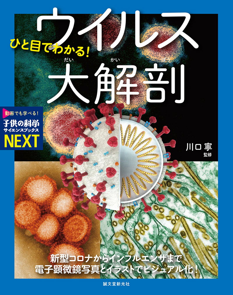 ◆◆◆おおむね良好な状態です。中古商品のため使用感等ある場合がございますが、品質には十分注意して発送いたします。 【毎日発送】 商品状態 著者名 川口,寧,1967- 出版社名 誠文堂新光社 発売日 2020年12月 ISBN 978441...