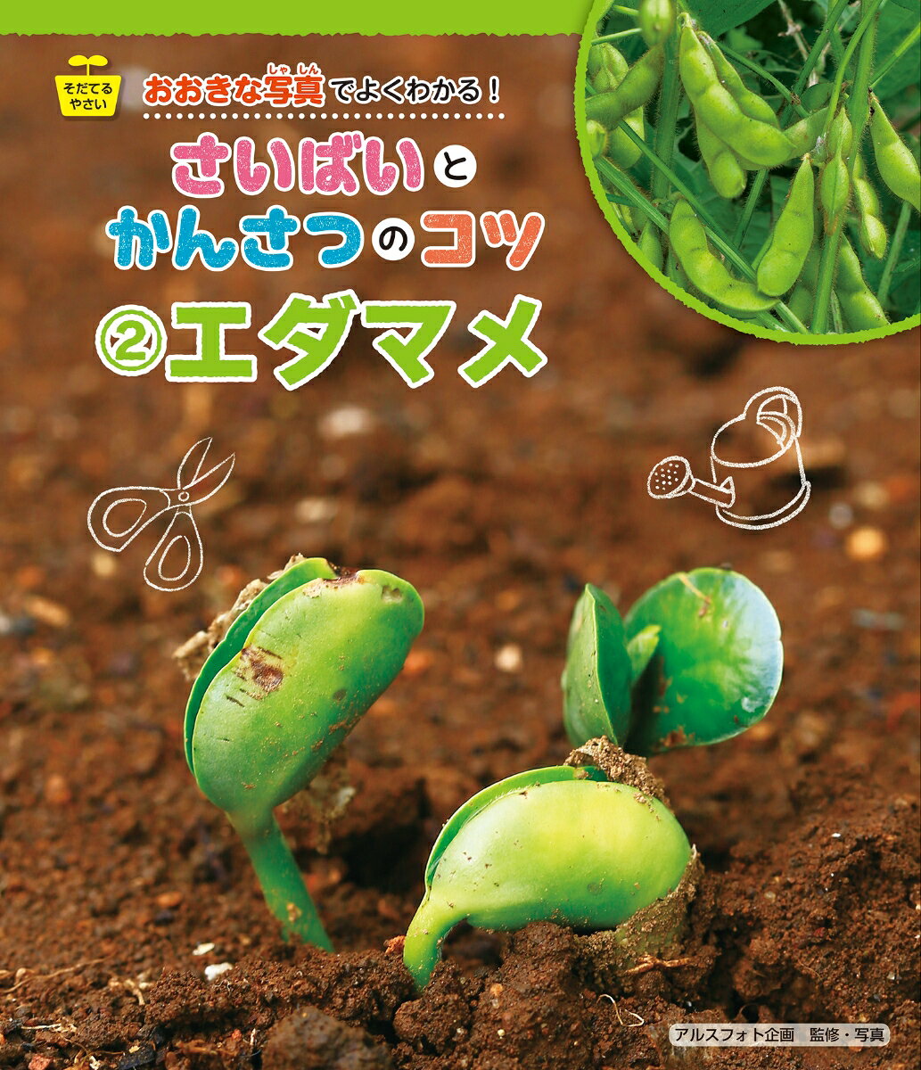 ◆◆◆非常にきれいな状態です。中古商品のため使用感等ある場合がございますが、品質には十分注意して発送いたします。 【毎日発送】 商品状態 著者名 アルスフォト企画 出版社名 岩崎書店 発売日 2020年01月 ISBN 9784265087624