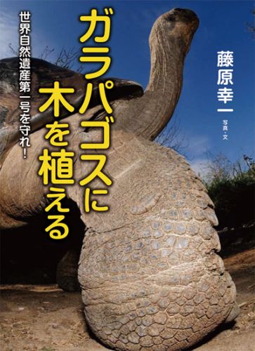 ◆◆◆リサイクル図書になります。除籍印、管理シール等があります。中古ですので多少の使用感がありますが、品質には十分に注意して販売しております。迅速・丁寧な発送を心がけております。【毎日発送】 商品状態 著者名 藤原,幸一,1955- 出版社...