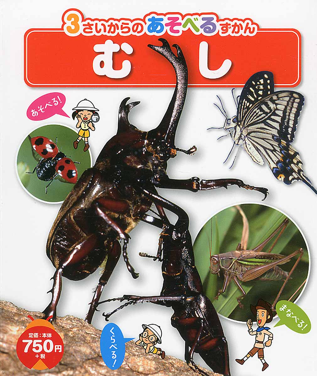 ◆◆◆カバーに使用感があります。中古ですので多少の使用感がありますが、品質には十分に注意して販売しております。迅速・丁寧な発送を心がけております。【毎日発送】 商品状態 著者名 写真:今森 光彦 出版社名 ひかりのくに 発売日 2015年0...