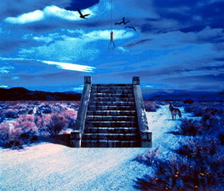 ◆◆◆おおむね良好な状態です。中古商品のため使用感等ある場合がございますが、品質には十分注意して発送いたします。 【毎日発送】 商品状態 アーティスト アーティスト:SADS 販売元 ユニバーサルミュージック（同） 発売日 2003-03-...