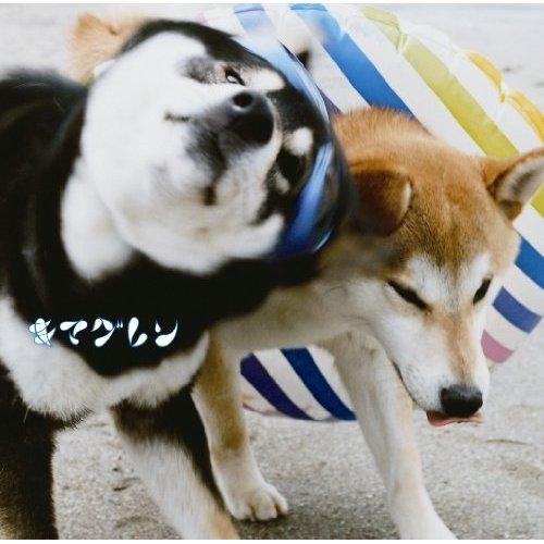 ◆◆◆ディスク有。おおむね良好な状態です。中古商品のため使用感等ある場合がございますが、品質には十分注意して発送いたします。 【毎日発送】 商品状態 アーティスト キマグレン 販売元 ユニバーサルミュージック（同） 発売日 2010年7月1...