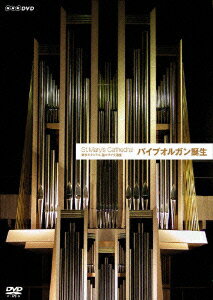 ◆◆◆おおむね良好な状態です。中古商品のため使用感等ある場合がございますが、品質には十分注意して発送いたします。 【毎日発送】 商品状態 出演 Unknown:教養 販売元 NHKエンタープライズ 発売日 2006-05-26 JAN 49...