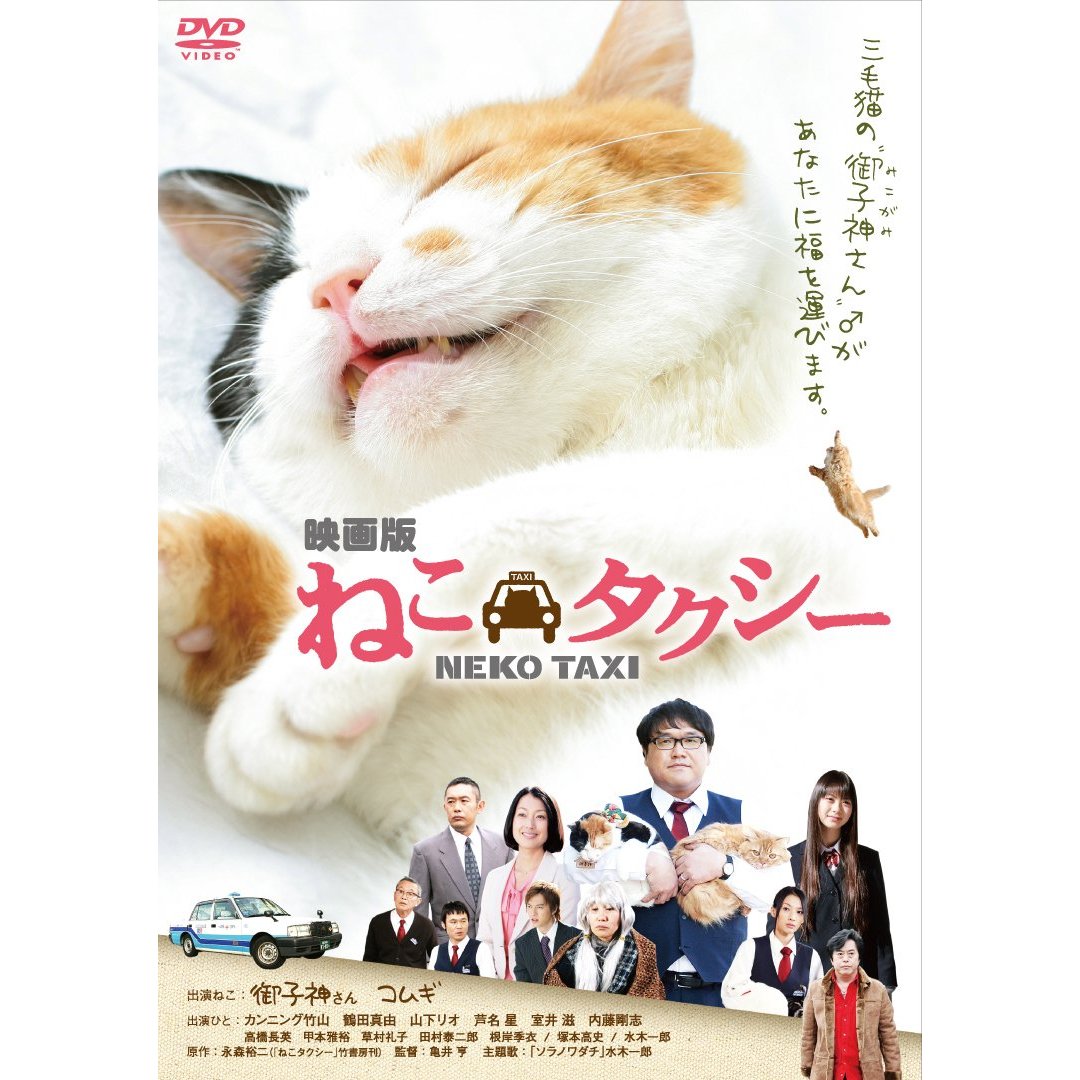 ◆◆◆非常にきれいな状態です。中古商品のため使用感等ある場合がございますが、品質には十分注意して発送いたします。 【毎日発送】 商品状態 出演 出演:カンニング竹山,出演:鶴田真由,出演:山下リオ,出演:室井滋,出演:内藤剛志,監督:亀井亨...