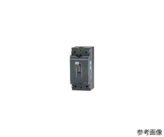 安全ブレーカ 2P・1E・30AF 定格使用電圧：100V 定格電流：6A ソルダレス端子方式（当座金付） 接続可能最大電線：8mm2安全ブレーカ 2P・1E・30AF 定格使用電圧：100V 定格電流：6A ソルダレス端子方式（当座金付）...