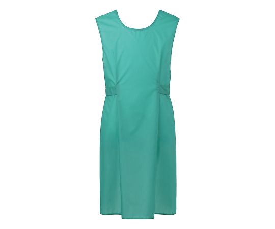 訪問介護用に便利なポーチ付きで、濡れたままのエプロンでもたたんでポーチに入れてバッグに収納可能です。 軽量のナイロンタフタ素材で携帯性に優れています。 色：グリーン サイズ：L 入数：1枚 材質：ナイロン100％（ナイロンタフタ（表／撥水・...